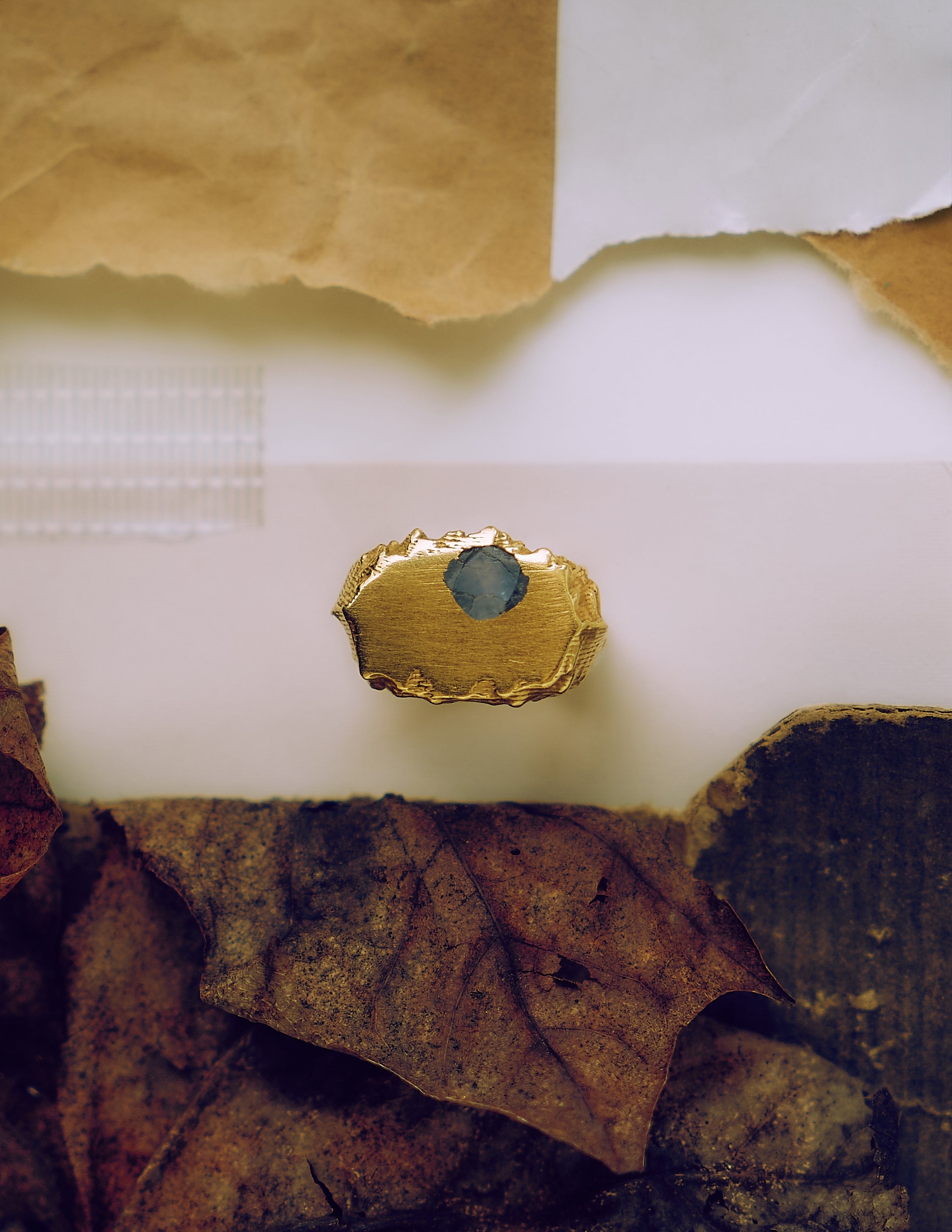 New Rings | Jayne Fowler
