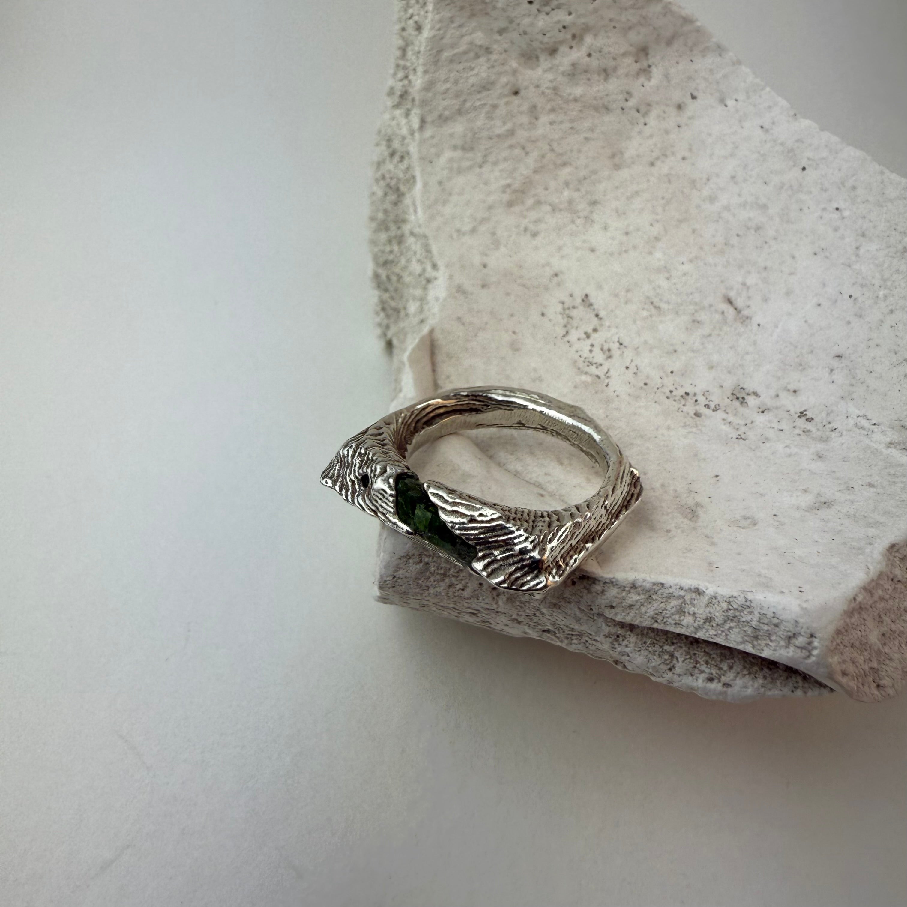 BAXTER XLVII | Jayne Fowler